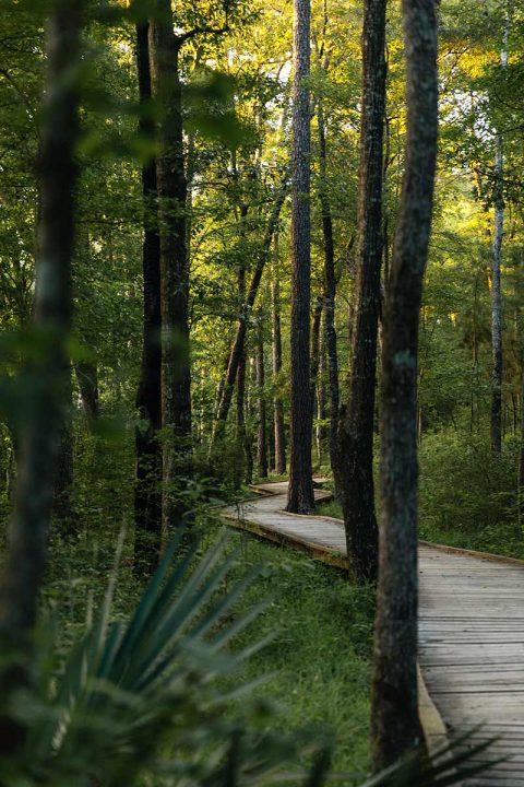 High Elevation Land for Sale in Texas | Republic Grand Ranch