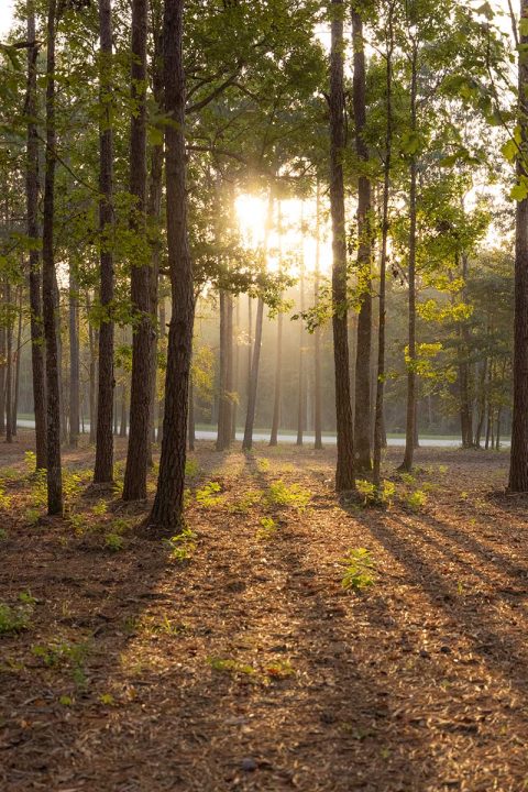 High Elevation Land for Sale in Texas | Republic Grand Ranch